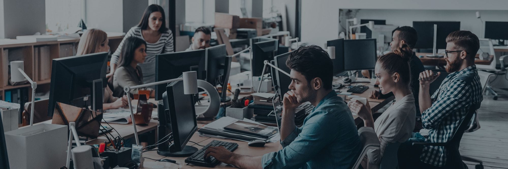 Incepta | Viglen | XMA